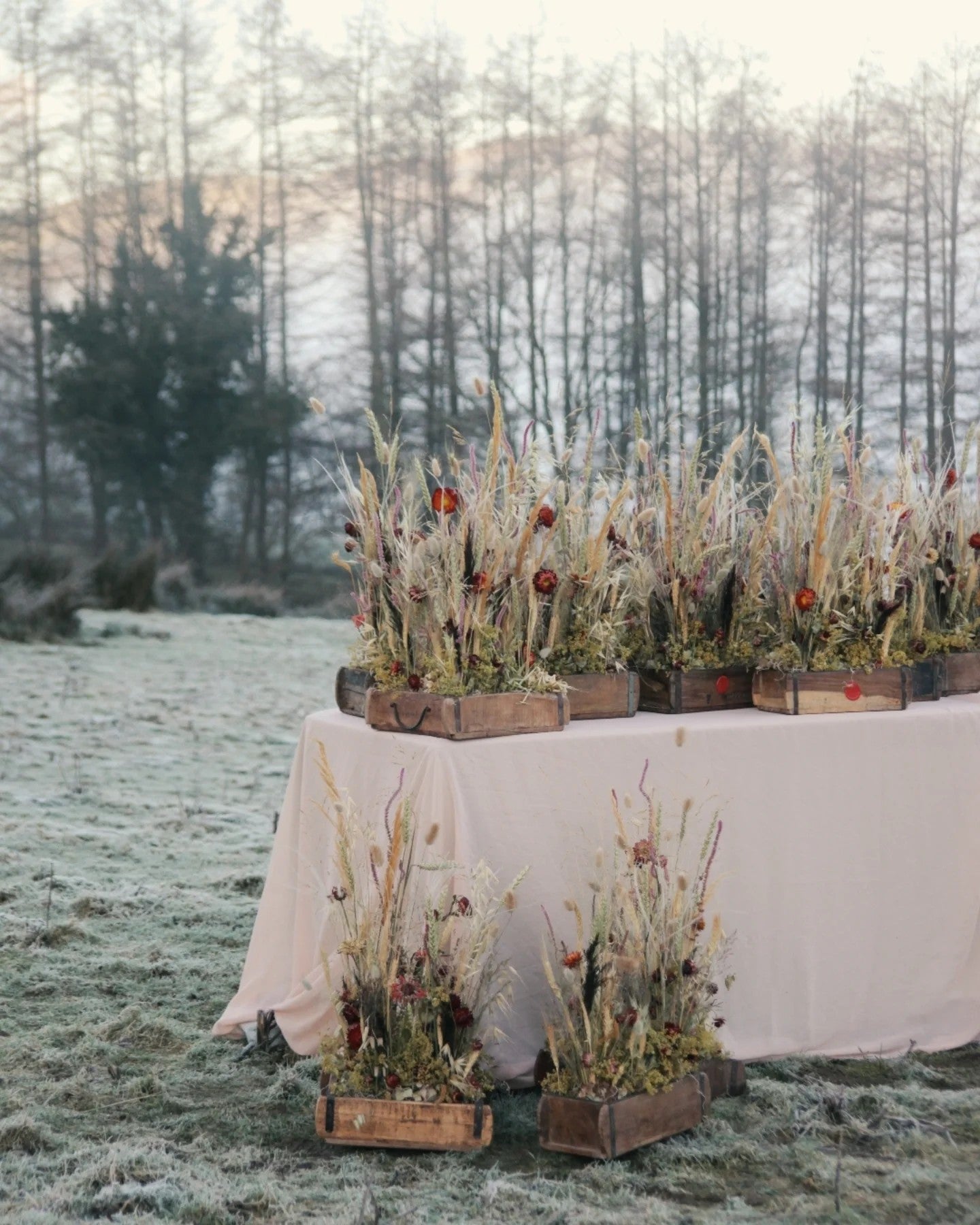 Bespoke Sustainable Dried Flowers | Sarah Breese Design | Wales