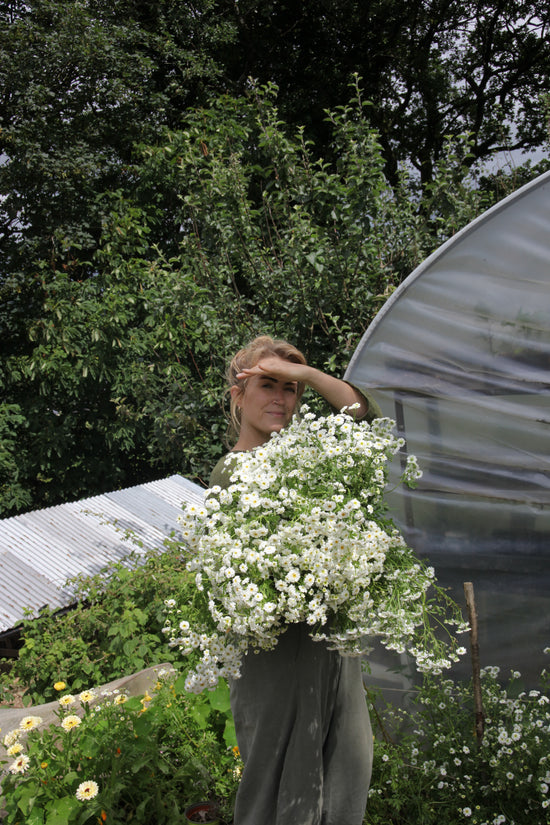 About Sarah Breese Design | Dried Flower Arrangements in Wales – SARAH ...
